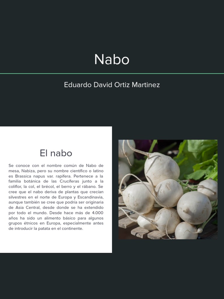 Nabo | PDF | Nabo | Alimentos