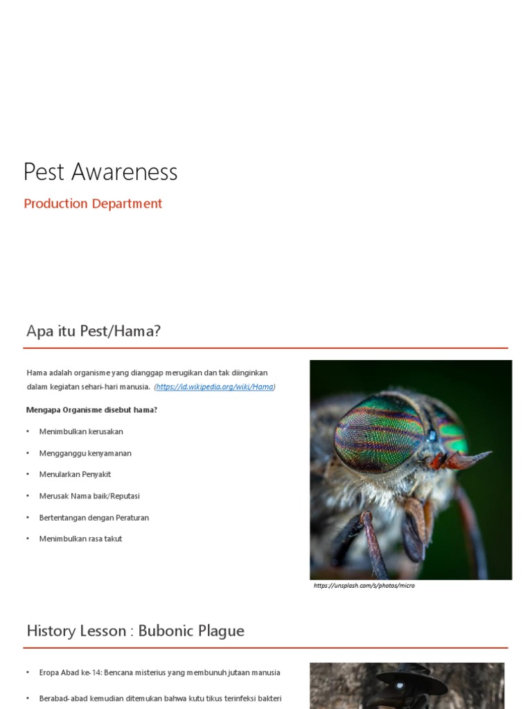 Pest Control Awareness | PDF
