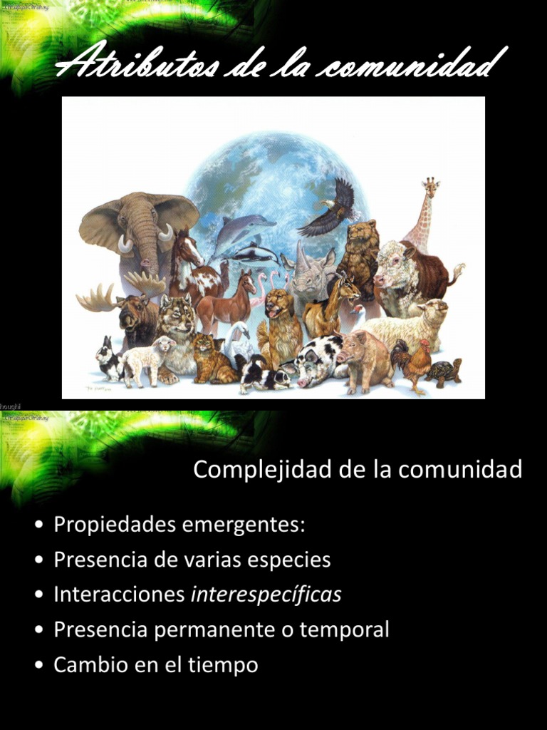 4.-Atributos de La Comunidad | PDF | Biodiversidad | Red alimentaria