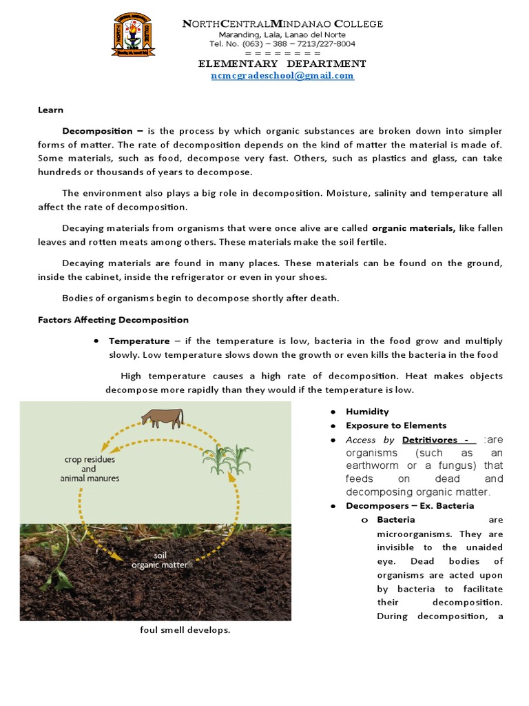 Decomposition Grade 4 Science | PDF | Decomposition | Ecology
