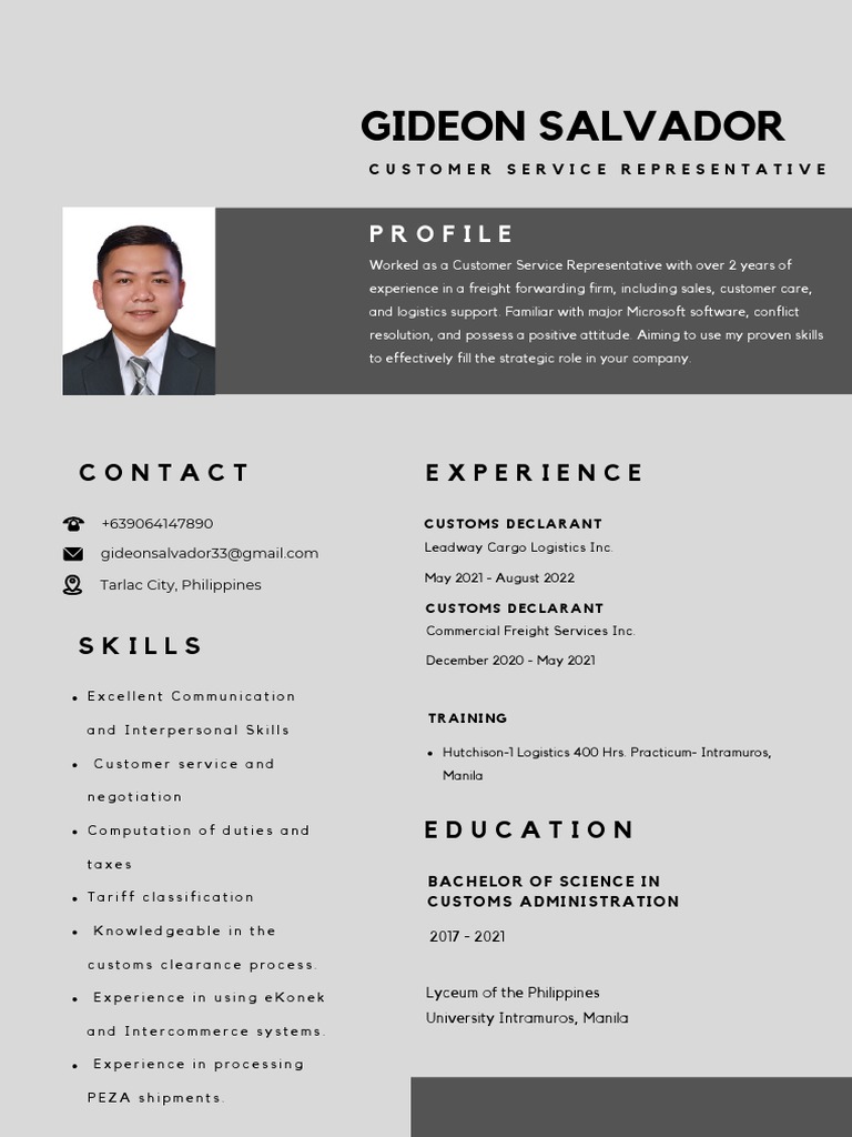 Modern Grey Resume | PDF