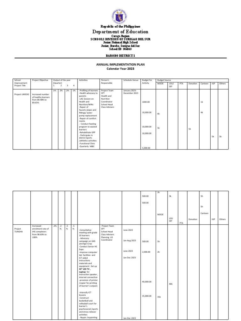 Javier National High School's Annual Implementation Plan for Calendar ...