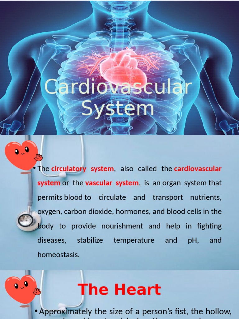 1 Cardiovascular System | PDF | Heart Valve | Heart