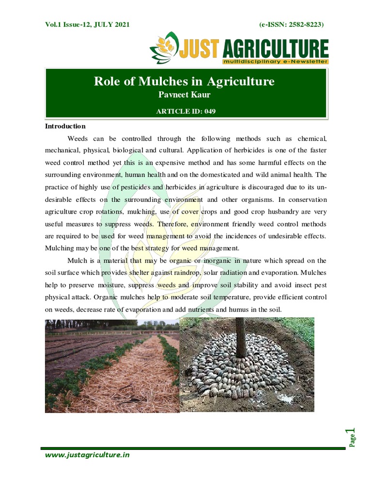 Role of Mulches in Agriculture | PDF | Mulch | Soil