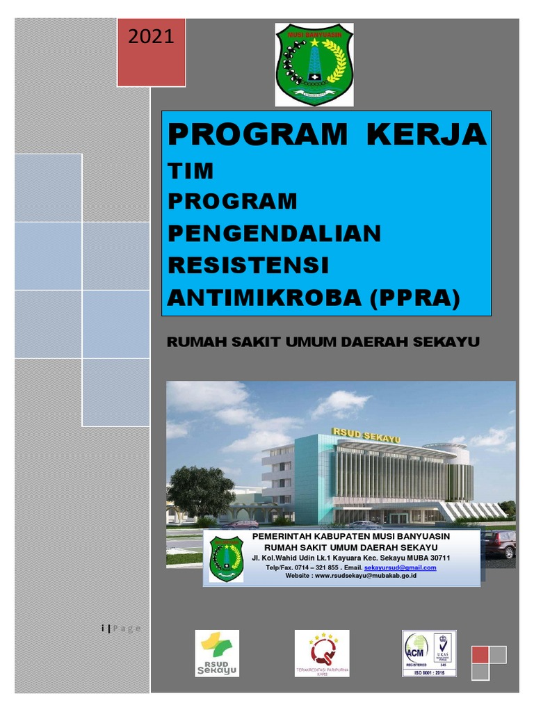 Program Kerja PPRA RSUD Sekayu - 2 | PDF