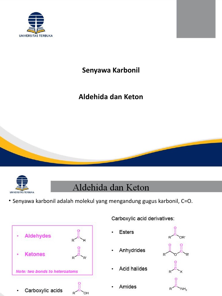 Senyawa Karbonil: Aldehida dan Keton | PDF