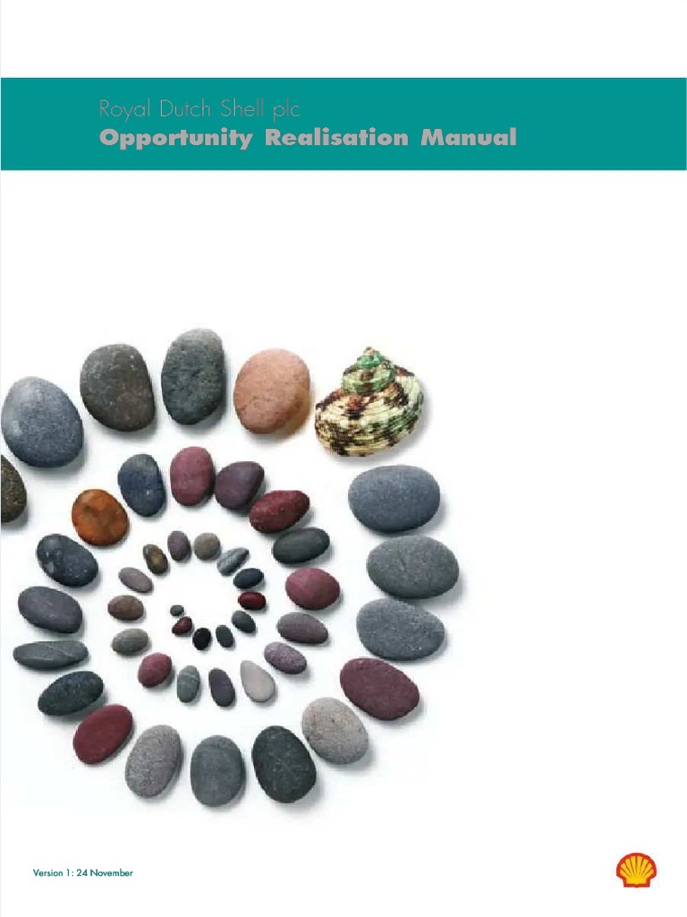 PDF Opportunity Realisation Manual DL | PDF | Governance | Risk