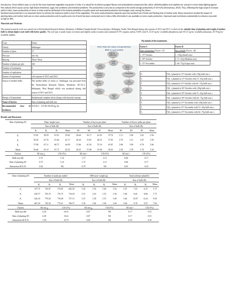 Onion Seed Production | PDF | Onion | Plants
