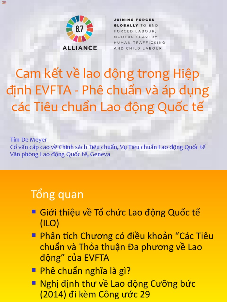 EVFTA VN Supervision - VN | PDF