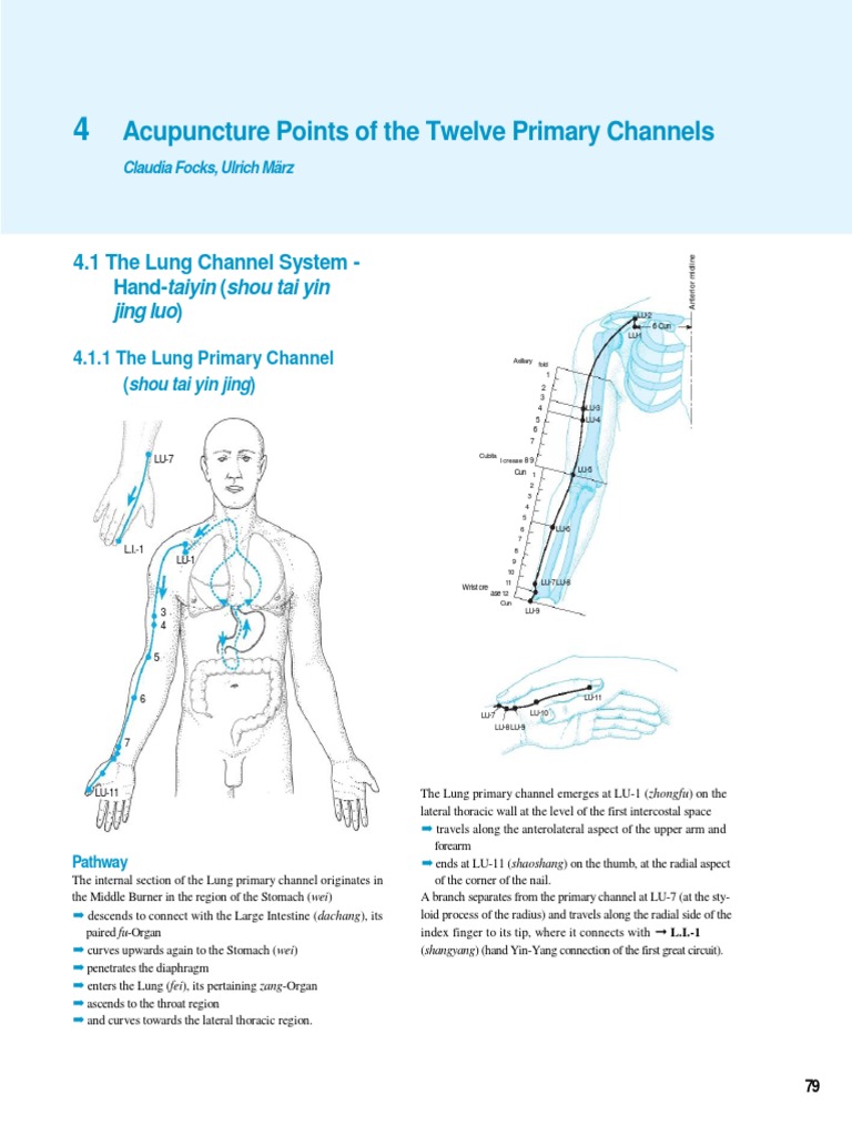 01 Titik Meridian LU | PDF | Arm | Human Anatomy
