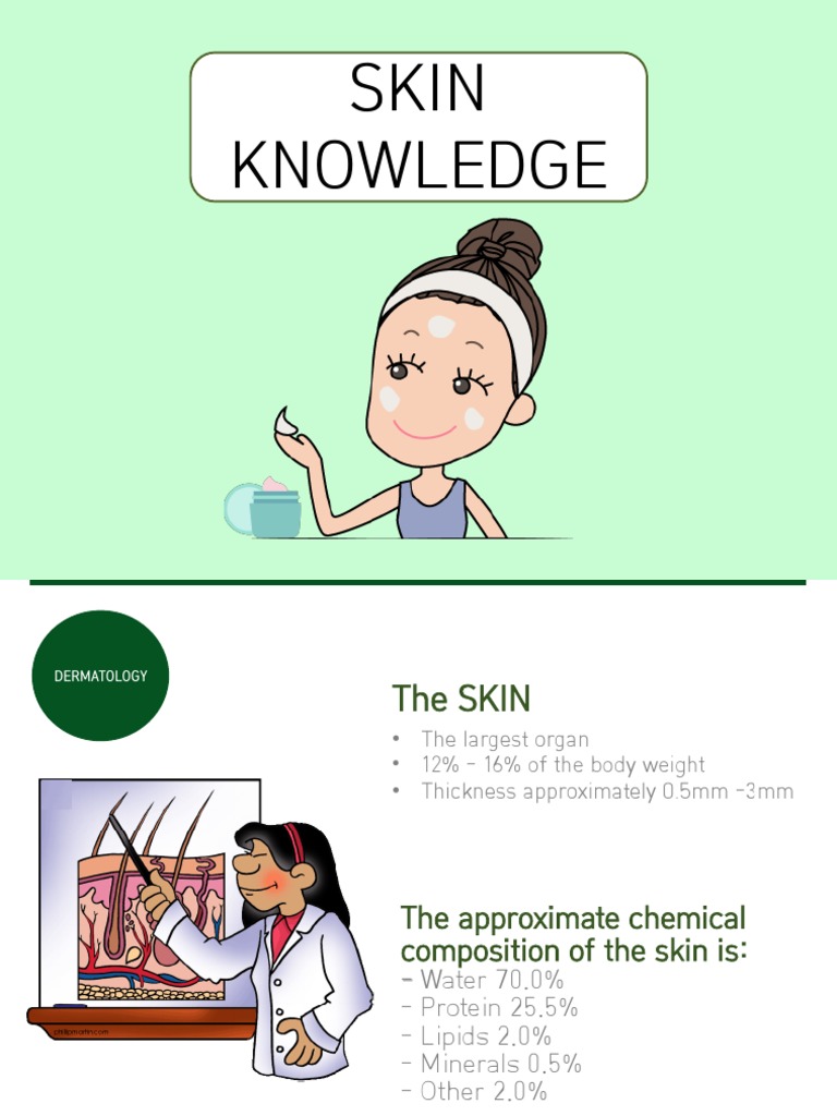 Skin Knowledge - 2020 2 | PDF | Skin | Epidermis
