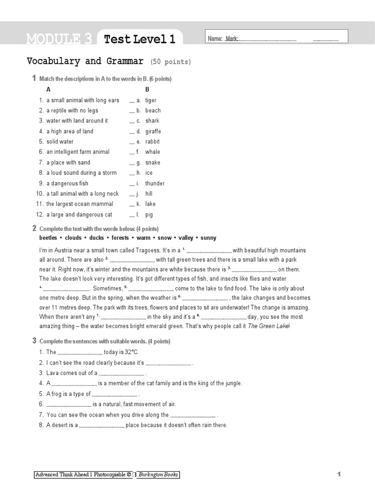 04AdvancedThinkAhead1 Mod3 TL1 | PDF | Ice