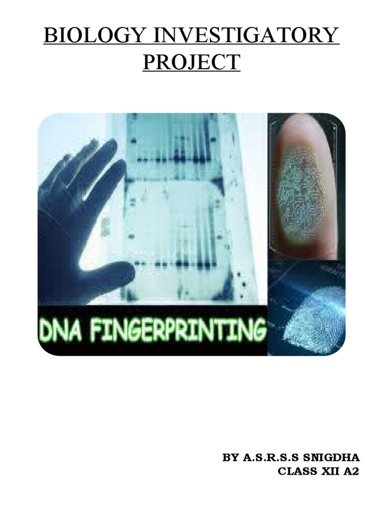 BIOLOGY INVESTIGATORY PROJECT Class 12 | PDF | Microsatellite | Gel ...