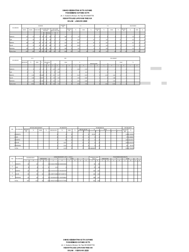 Lap PWS Kia - Jan 20 | PDF