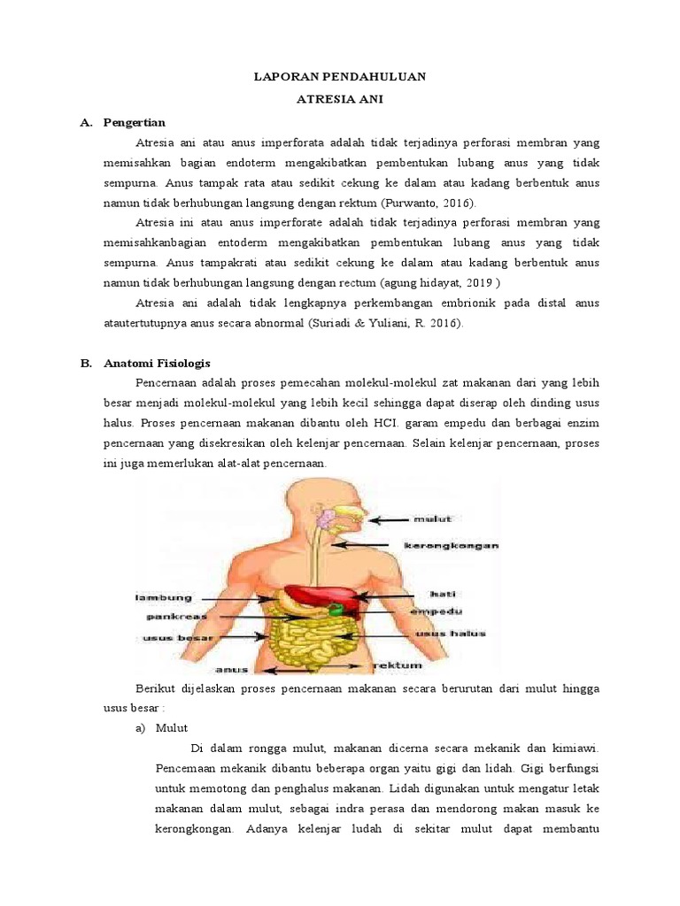 LP Atresia Ani | PDF