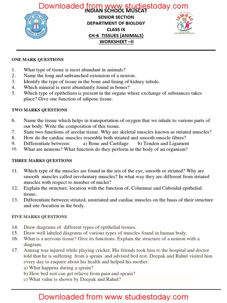 Class IX Biology: Animal Tissues Worksheet | PDF