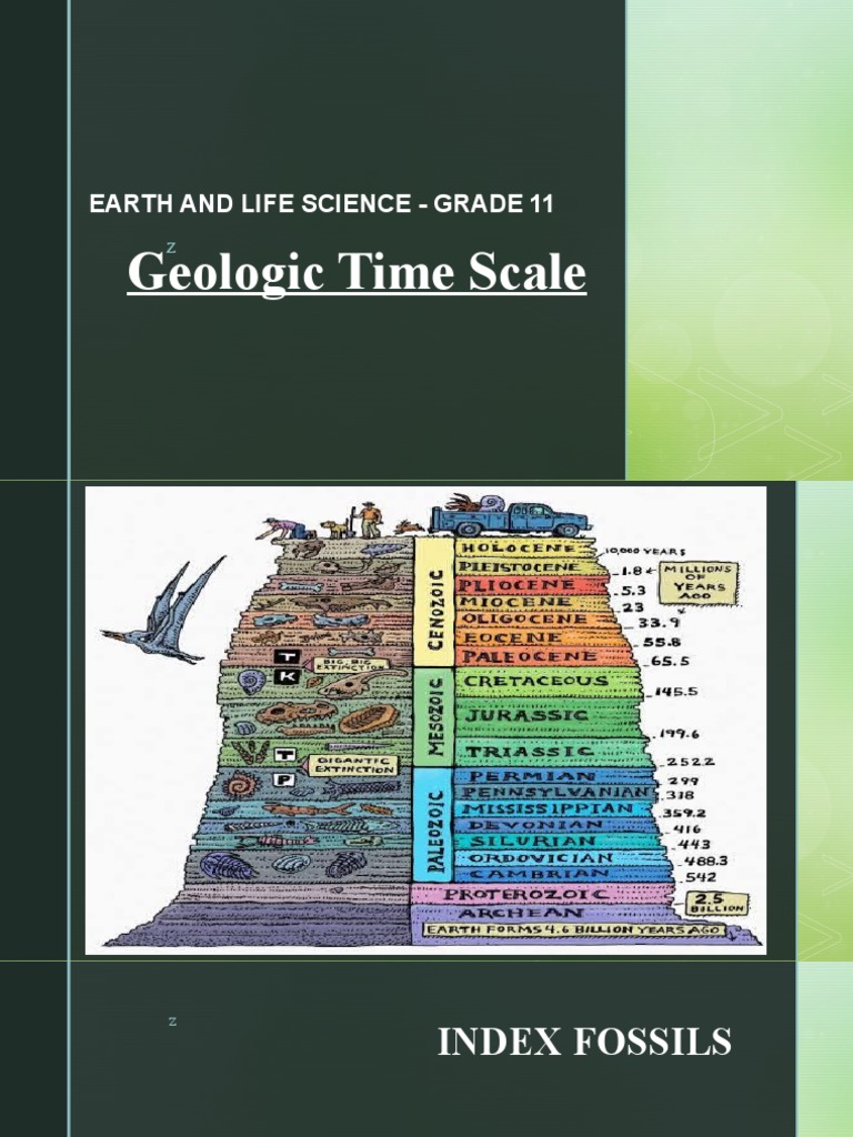 Geologic Time Scale and Fossils Explained | PDF | Geologic Time Scale ...