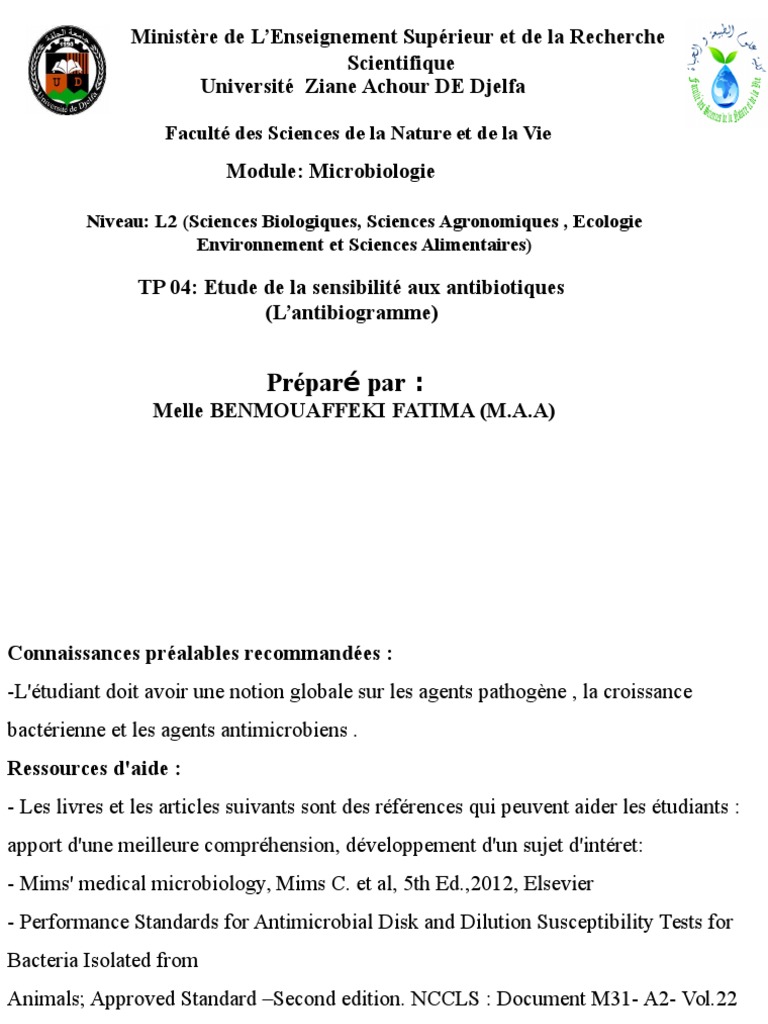TP 04 Etude de La Sensibilité Aux Antibiotiques (L'antibiogramme) | PDF