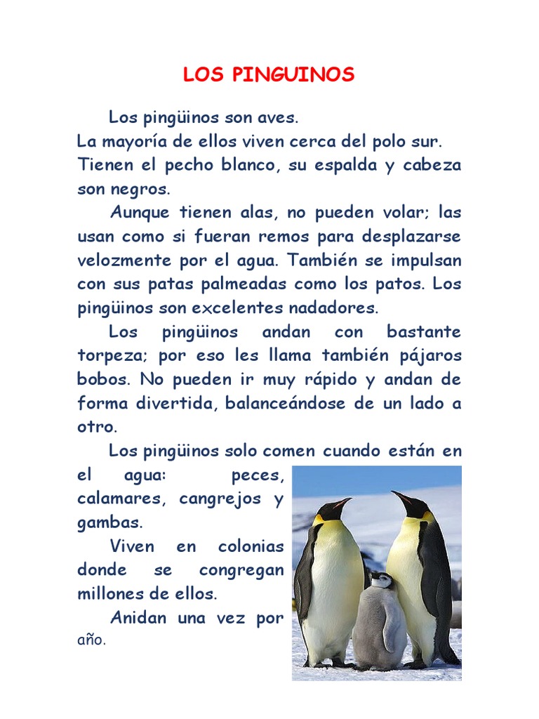 Los Pinguinos | PDF