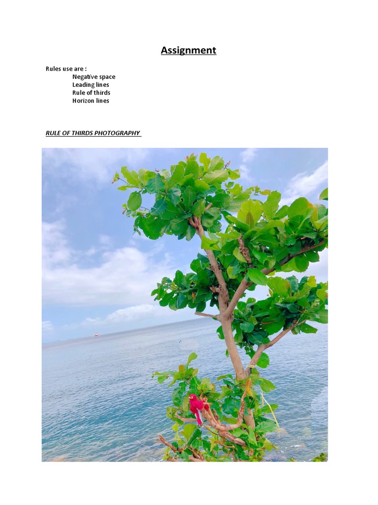 Rule of Thirds Photography | PDF