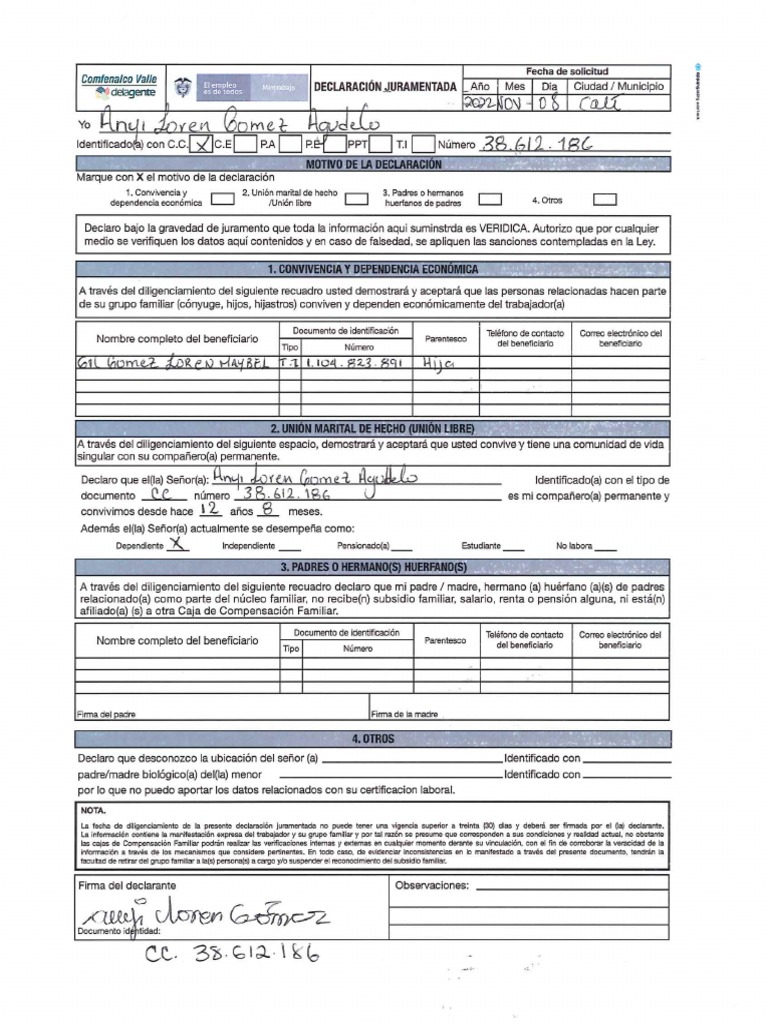 Declaracion Juramentada | PDF