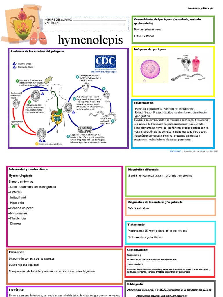 Decalogos Parasitarios | PDF | Diarrea | Especialidades Medicas