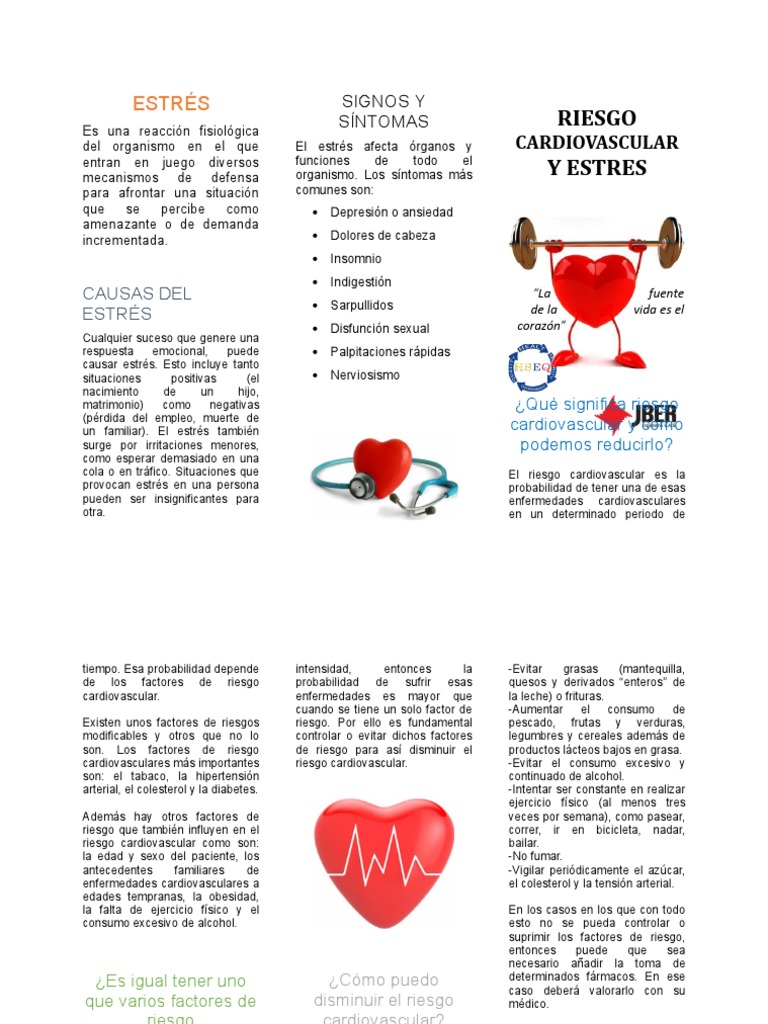 Folleto Riesgo Cardiovascular y Estres | PDF | Enfermedades ...