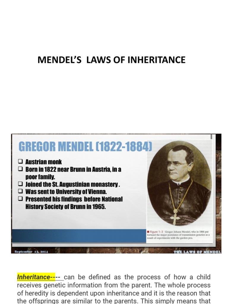 Ppt. Mendels Laws of Inheritance | PDF | Genotype | Zygosity