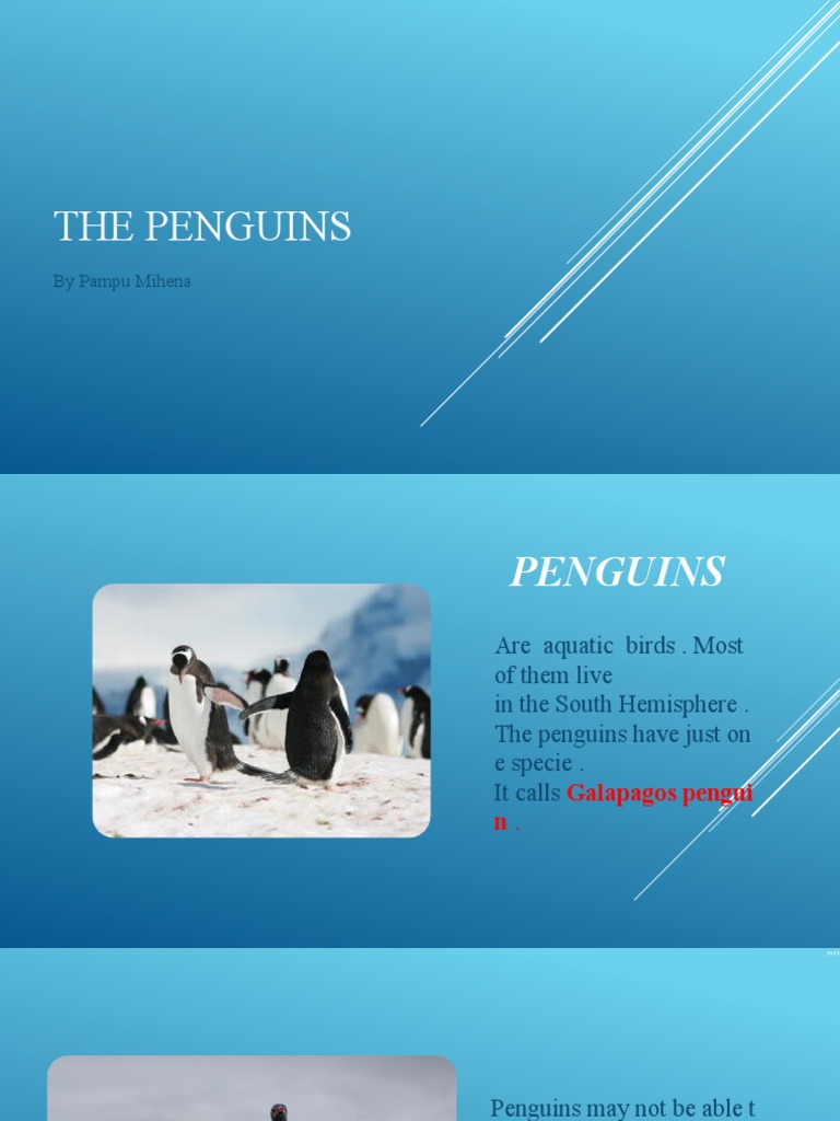 The Penguins | PDF