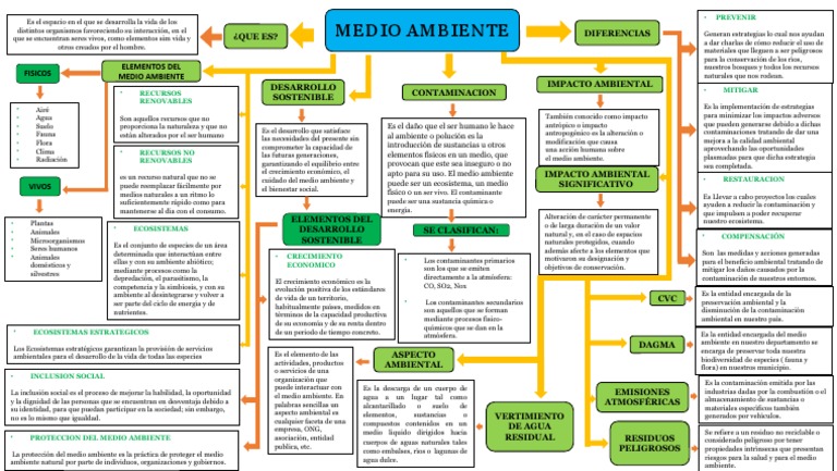 Mapa Conceptual Medio Ambiente | PDF | Entorno natural | Contaminación