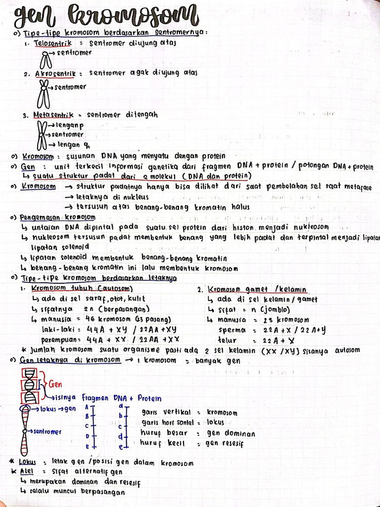 Bab Gen Mutasi Bio | PDF