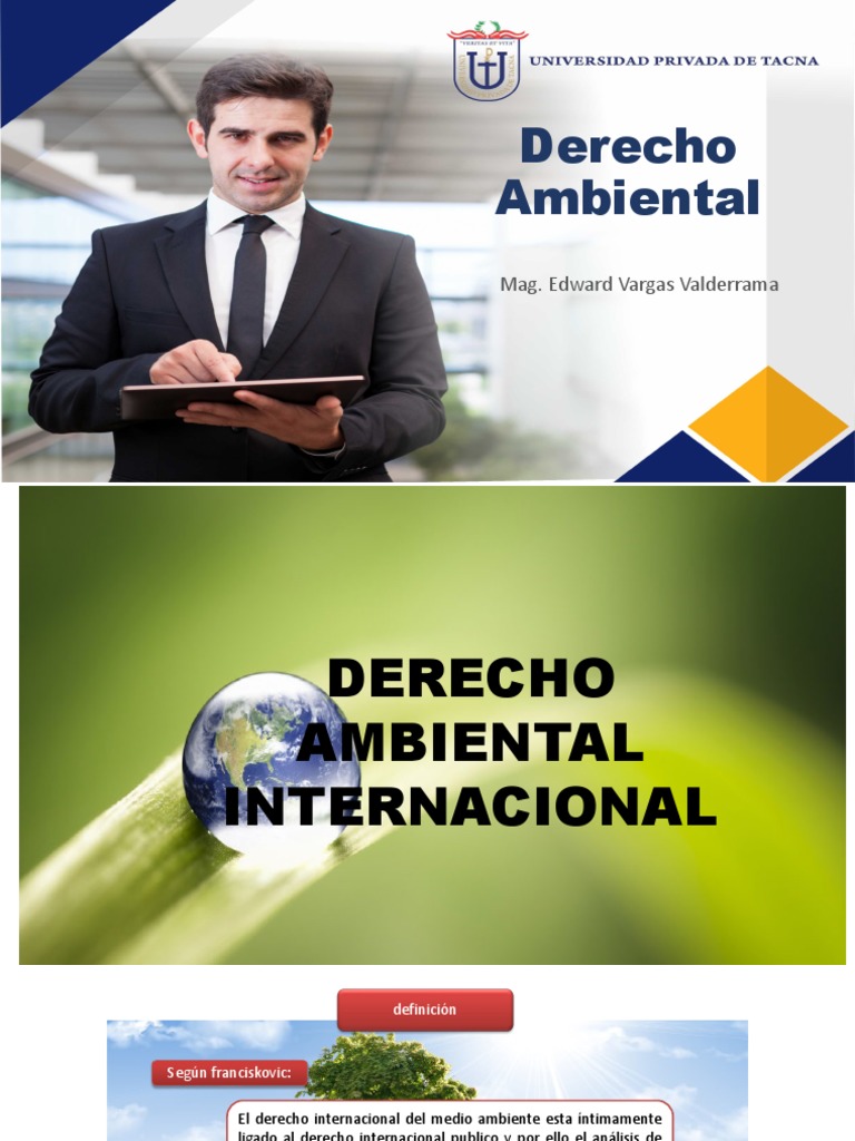 05 Derecho Ambiental Internacional | PDF | Ley internacional | Entorno ...