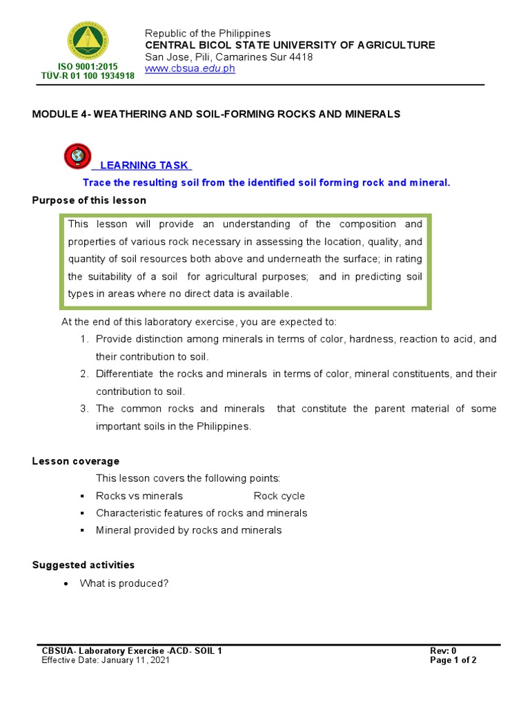 Module #4 WEATHERING AND SOIL-FORMING ROCKS AND MINERALS | PDF | Rock ...