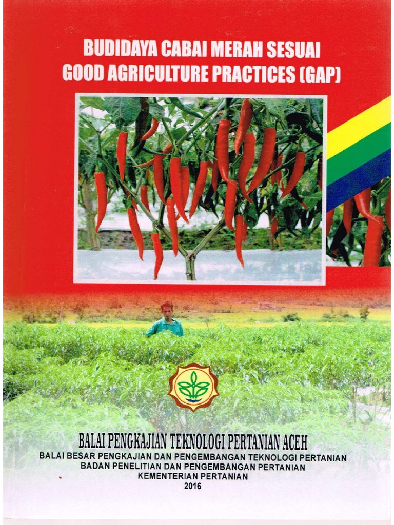 Budidaya Cabai Merah Sesuai (Good Agriculture Government) | PDF