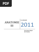 Anatomie de la Moelle Spinale | PDF | Moelle épinière | Nerf