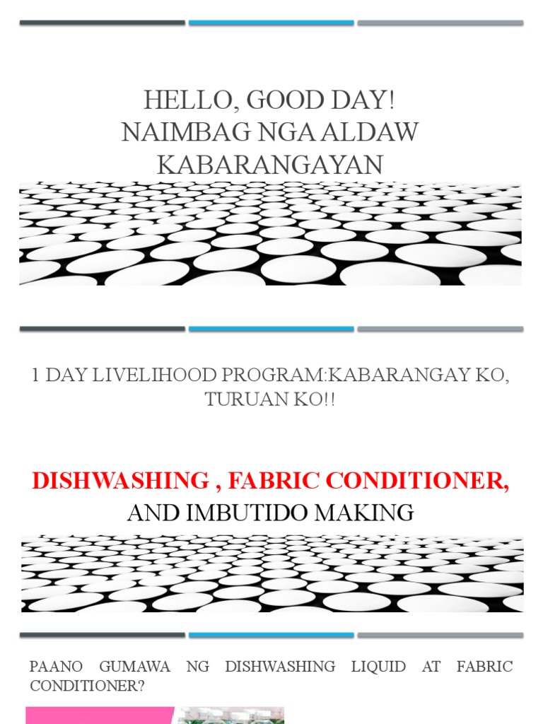 Livelihood Program | PDF