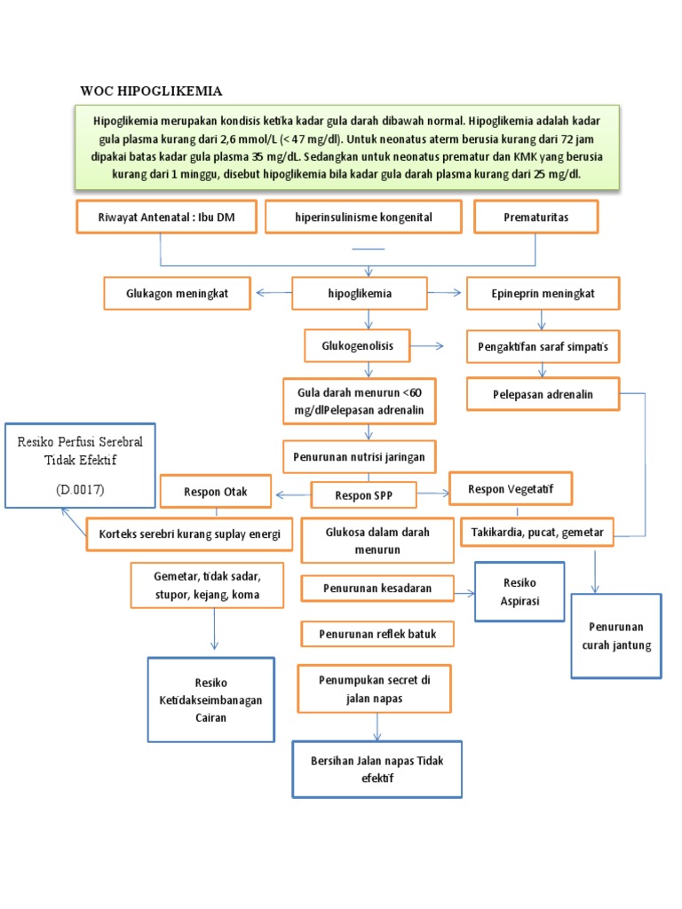 Woc Hipoglikemia | PDF