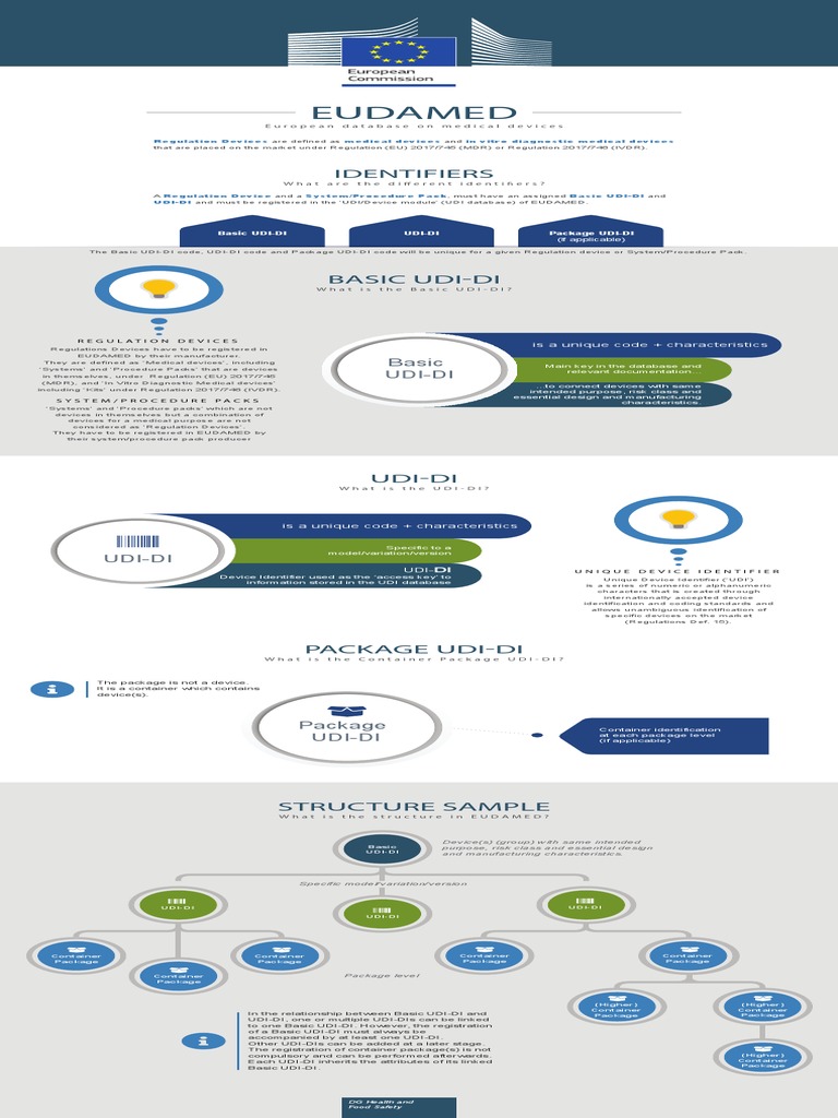 MD Eudamed-Udi-Concept en 0 | PDF | Medical Device | Computing