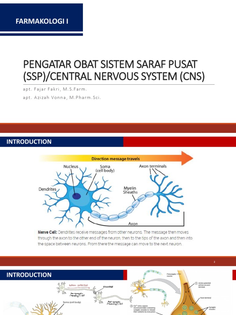 1-Obat Sistem Saraf Pusat-Parkinson Dan Alzheimer D | PDF ...
