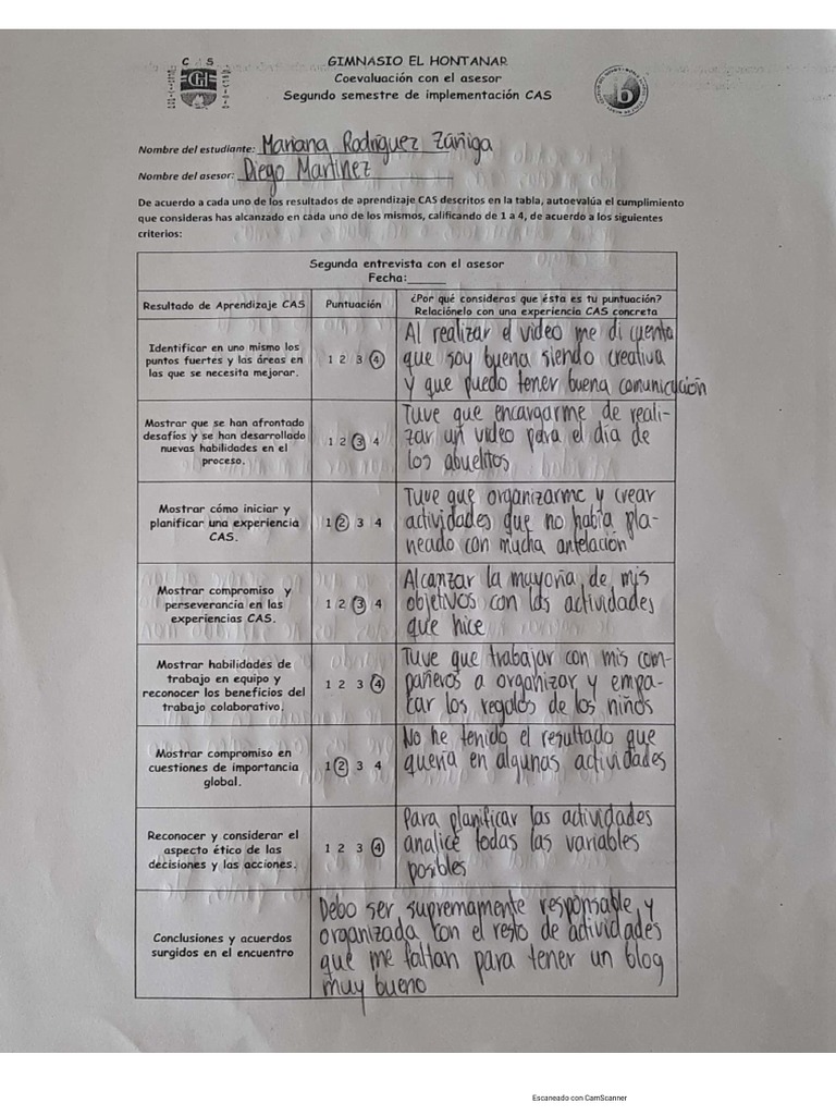 Segunda Entrevista Con El Asesor | PDF