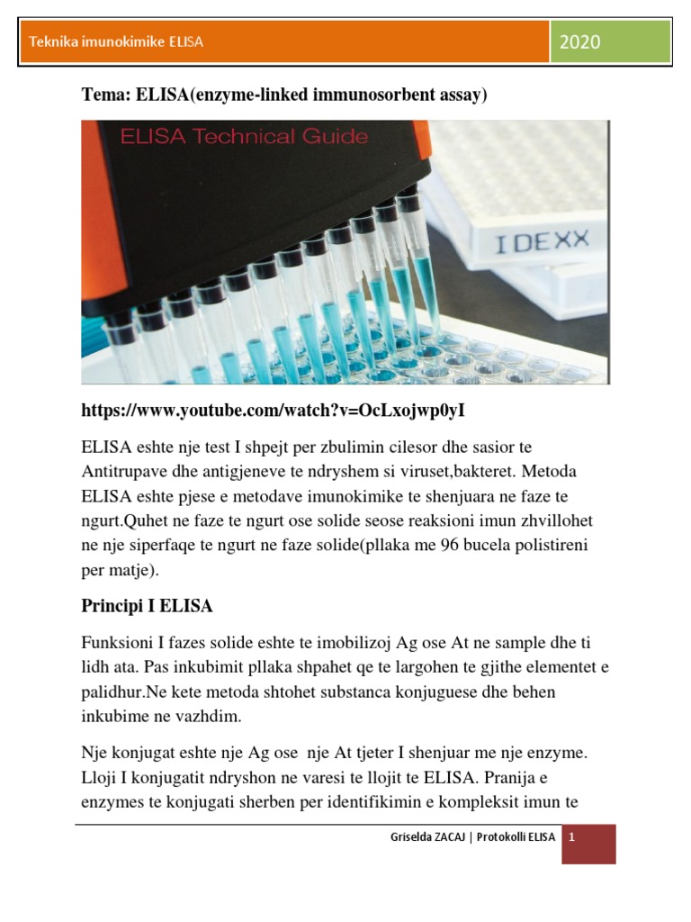Protokoll ELISA | PDF