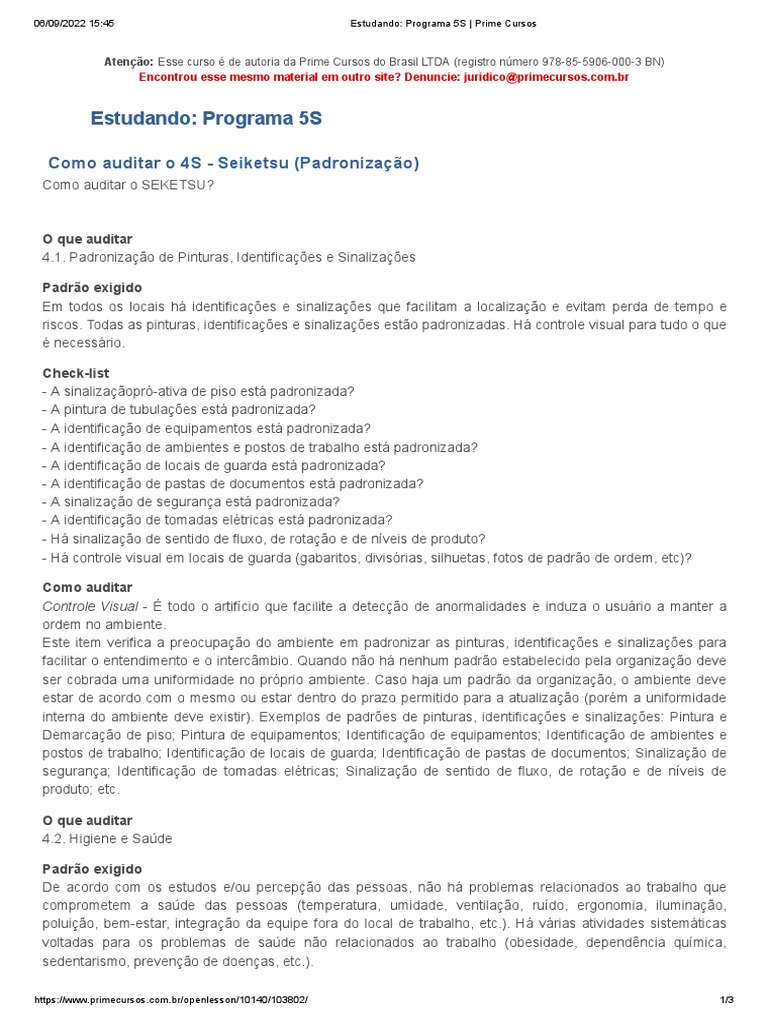21 - Como Auditar o 4S - Seiketsu (Padronização) | PDF | Fatores ...