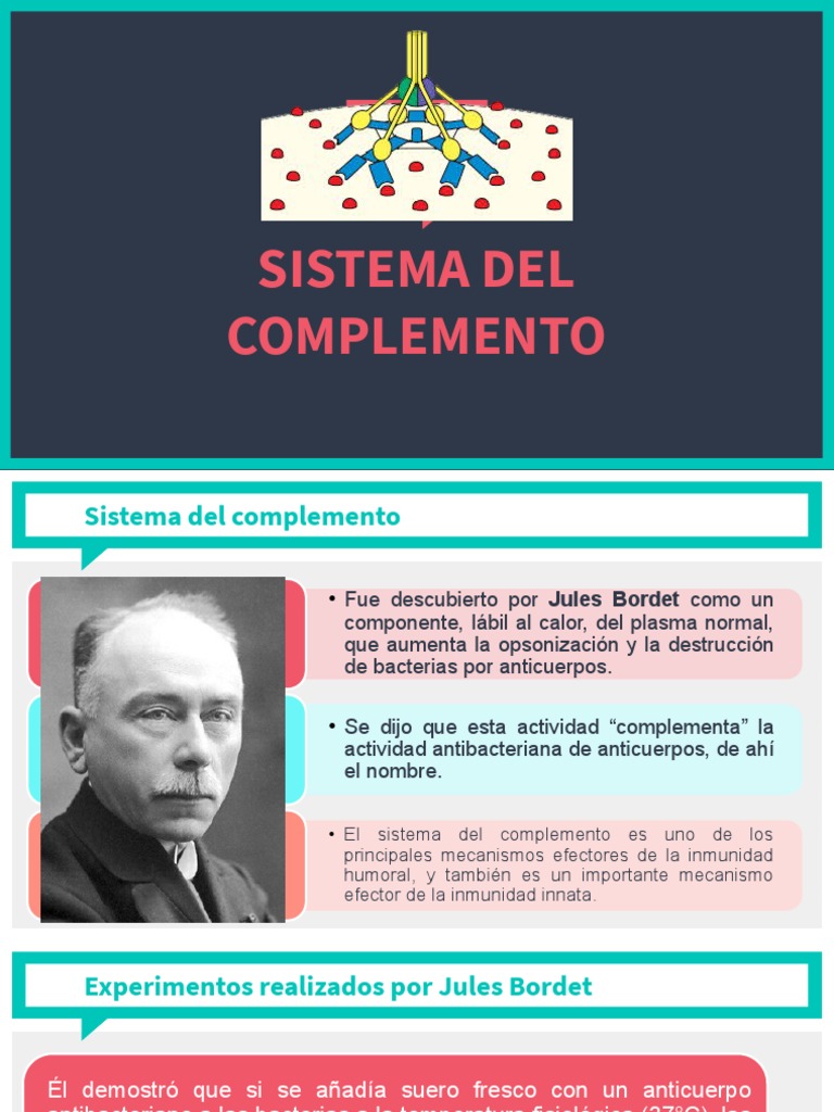 Sistema Del Complemento | PDF | Sistema complementario | Especialidades ...