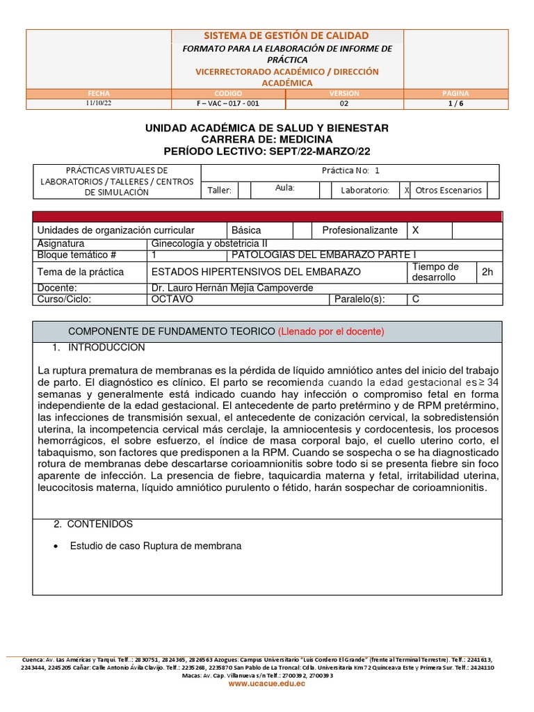 Informe 2 Ginecología-Rpm | PDF | Cuidado de la salud | Embarazo humano