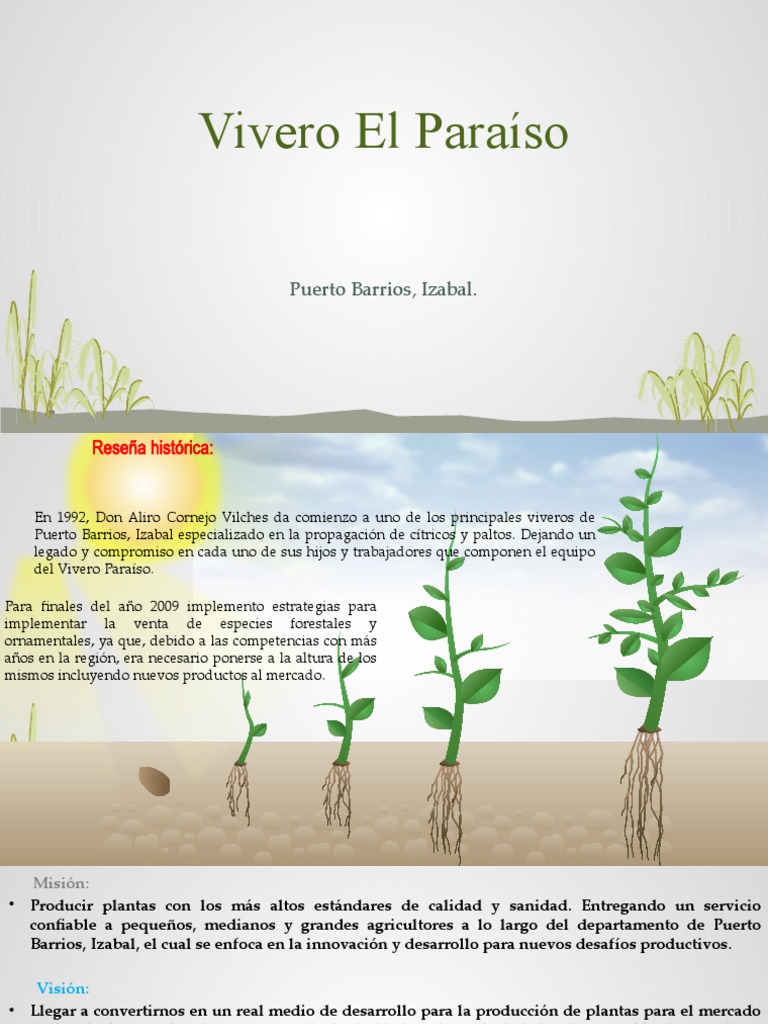 Vivero El Paraíso Proyecto Exp | PDF | Producto (Negocio) | Análisis FODA