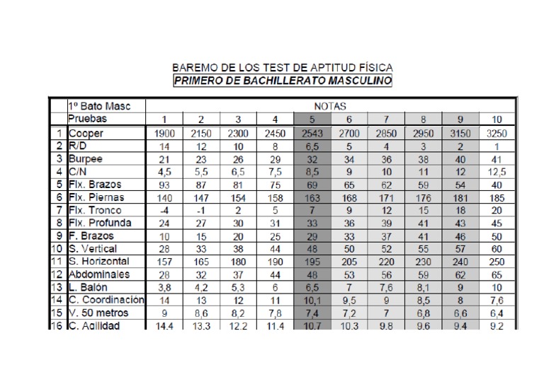 Baremos 1ero Bach | PDF