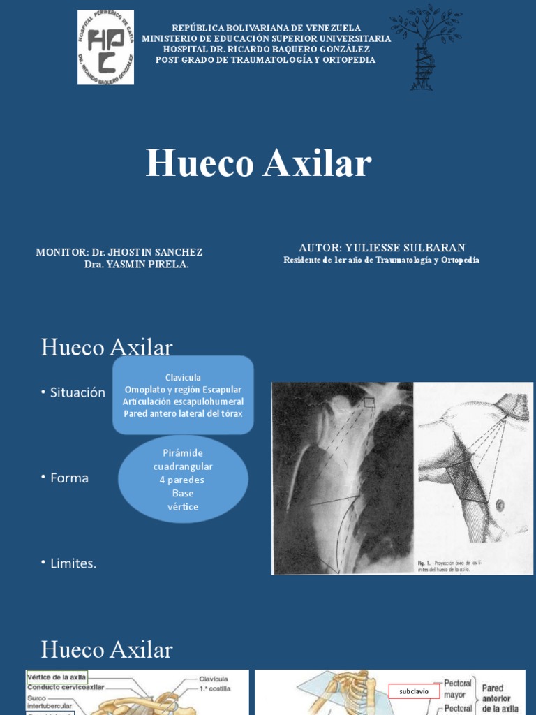 Hueco Axilar | PDF | Tórax | Anatomía humana