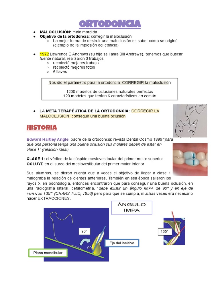 Las 6 llaves de la oclusión perfecta según Andrews | PDF | Ortodoncia ...