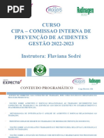 Tutorial Cipa - Passo A Passo 240317 | PDF | Informática