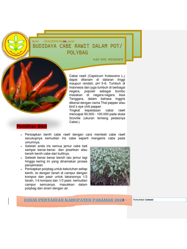 BUDIDAYA CABE RAWIT DALAM POT | PDF